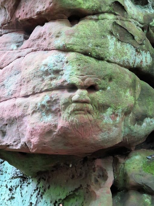 Dunino Den: A Hidden Gem in Fife's Landscape | Irish Scottish Roots