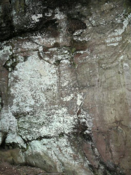 Dunino Den: A Hidden Gem in Fife's Landscape | Irish Scottish Roots