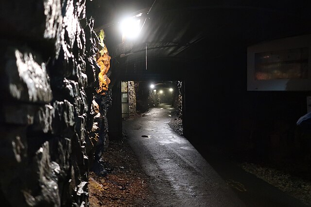 Coal Mining in Ireland - Hard Work in Narrow Seams | Irish Scottish Roots